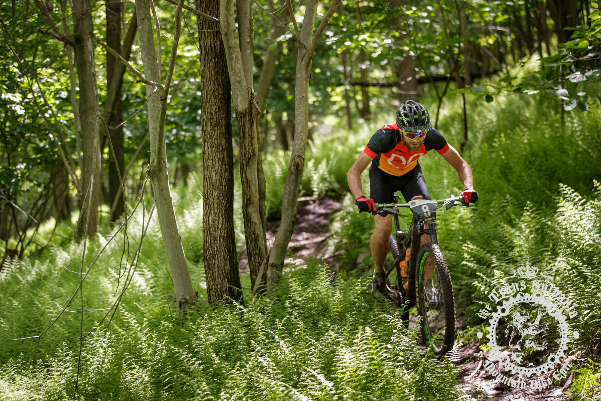 Trans-Sylvania Mountain Bike EPIC- Stage Five & overall results - MTB ...